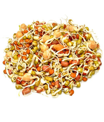 Mixed Sprouts (150 gm) – Subzi Bazaar